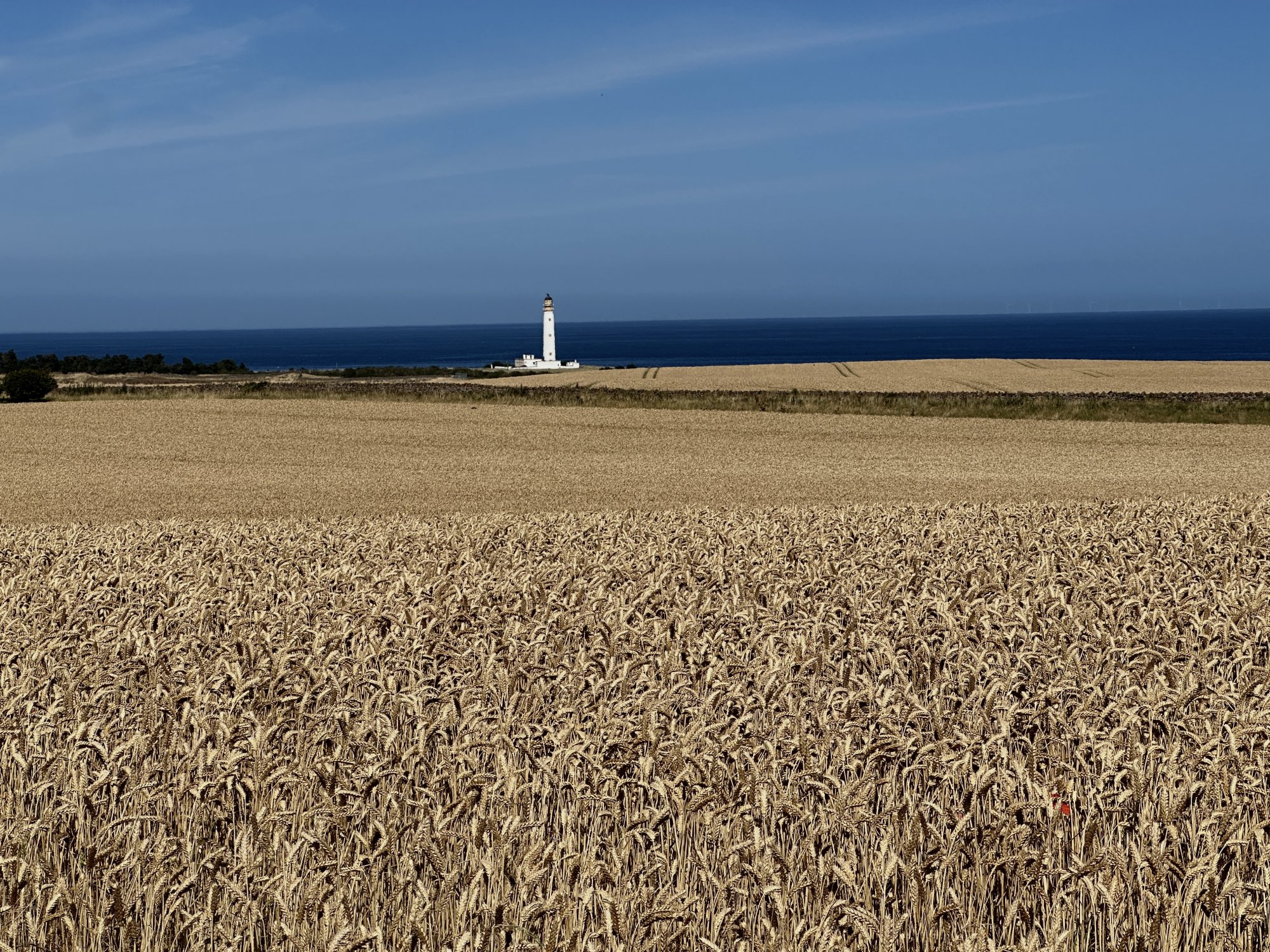 Barns Ness lighthouse east lothian | Wild Camping for Motorhomes